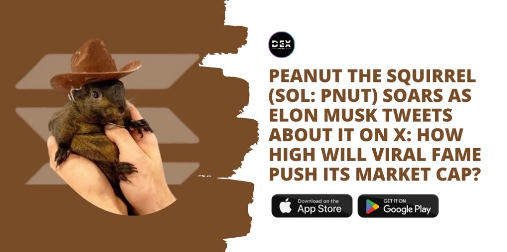 Peanut The Squirrel (SOL: PNUT) Soars As Elon Musk Tweets About It On X: How High Will Viral ...