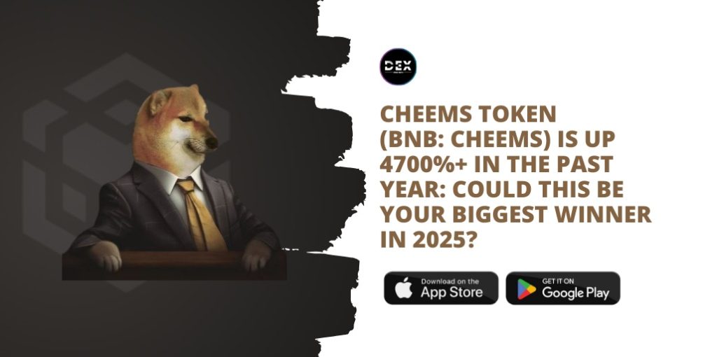 Cheems Token (BNB: CHEEMS) Is Up 4700%+ In The Past Year: Could This Be ...